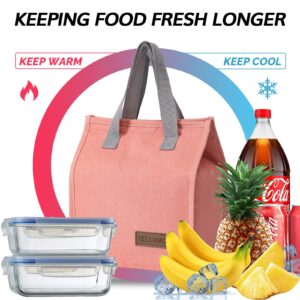 TELLUMO Lunch bag, Insulated Lunch Bag for Women Men Kids Large Lunch Box Container Reusable Leakproof Tote for Office, Work, School, Beach or Travel (Minimalist Pink)