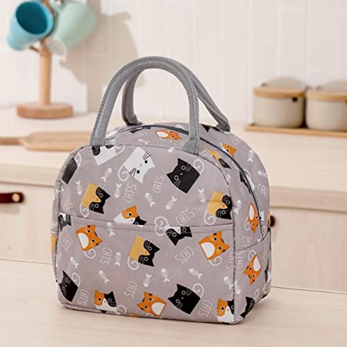 INVODA 4PCS Lunch Bag 4PCS Reusable Portable Lunch Bag Insulated Picnic Bag Cooler and Thermal Lunch Organizer for Work Picnic (4 Patterns)