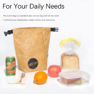 Funfmm Lunch Bag for Women/Men,Reusable Lunch Bag with Water-Resistant Tyvek Material,Insulated Lunch Bag,Lunch Box Containers,Bento Lunch Bag,Lunch Box for Women,Brown Bag