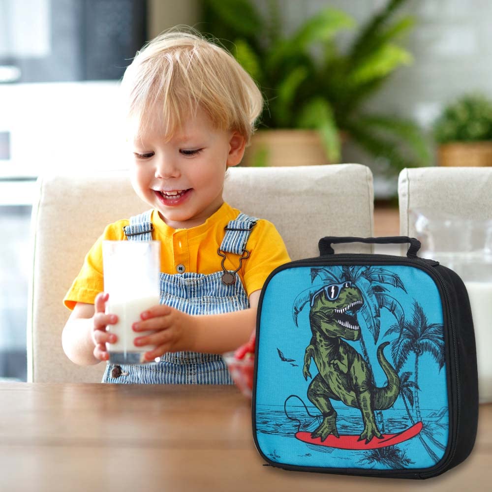 gxtvo Lunch Box for Boys, Dinosaur Insulated Bag, Dino Kids Portable Thermal Organizer