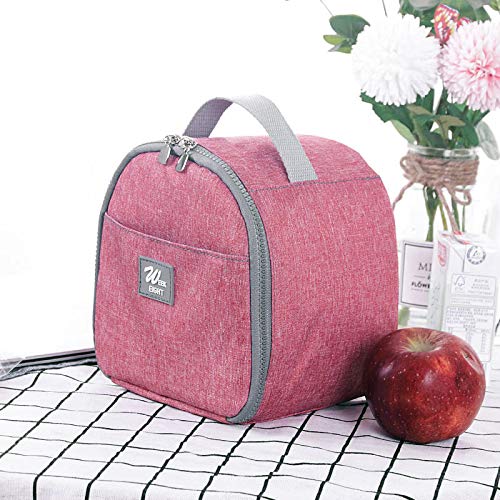 KEAIDUO Small Lunch Bag for Women Men Mini Insulated Lunch Box Portable Cooler Bag Reusable Snack Bag Adult Lunch Pail Petty Food Containers Red