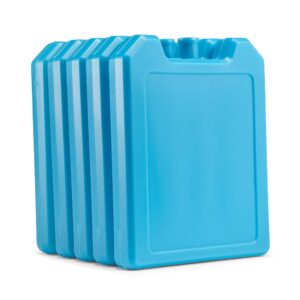 Fit & Fresh Cool Coolers, 5 Pack Days of the Week Ice Blocks, Compact & Reusable Ice Packs for Lunch Boxes & Coolers, Blue