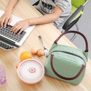 Lunch Bags Reusable Lunch Tote Bags Portable Lunch Cooler Bag Lunch Holder Insulated Lunch Box Bag for Picnic Office Beach (Green)