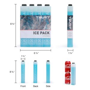 TOURIT Lunch Bag and 4 Ice Packs Bargain Perfect Combination