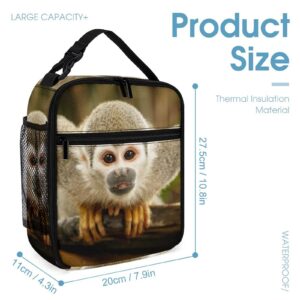 MINBHEBYUD Squirrel Monkey Jungle Lunch Bag for Men Women, Insulated Lunch Bags for Office Work, Reusable Portable Lunch Box