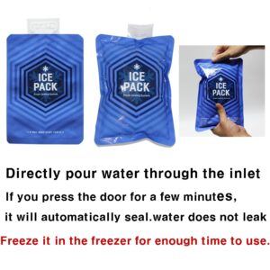 Insulated Easy Zip Lock Resealable Aluminum Bag with ice pack Lunch Bag Sandwich Bag Hot & Cold Pouch Reusable Thermal Picnic Bag With ice pack ( 5, 7 * 10 , ice pack 2 )