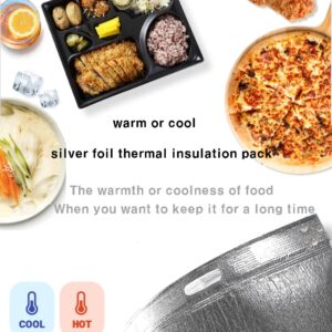 Insulated Easy Zip Lock Resealable Aluminum Bag with ice pack Lunch Bag Sandwich Bag Hot & Cold Pouch Reusable Thermal Picnic Bag With ice pack ( 5, 7 * 10 , ice pack 2 )