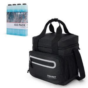 tourit lunch bag and 4 ice packs bargain perfect combination