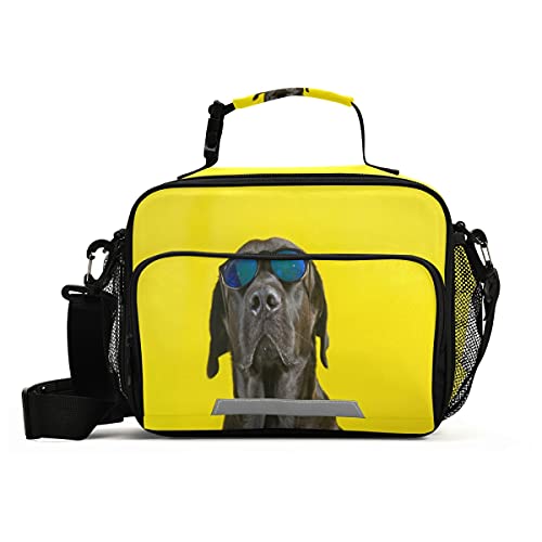 Young Black Labrador Lunch Box, Lunch Bag with Adjustable Shoulder Strap Insulated Tote Bag Picnic Box Lunch Bag for School Teens Snacks Insulated Cooler Tote