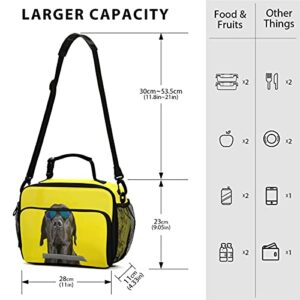 Young Black Labrador Lunch Box, Lunch Bag with Adjustable Shoulder Strap Insulated Tote Bag Picnic Box Lunch Bag for School Teens Snacks Insulated Cooler Tote