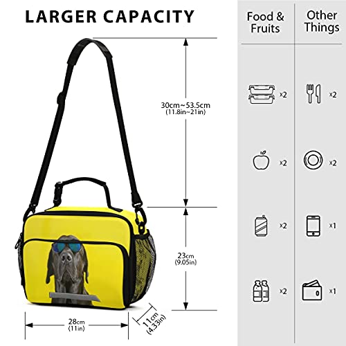 Young Black Labrador Lunch Box, Lunch Bag with Adjustable Shoulder Strap Insulated Tote Bag Picnic Box Lunch Bag for School Teens Snacks Insulated Cooler Tote