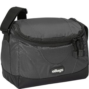 eBags Lunch Cooler (Titanium)