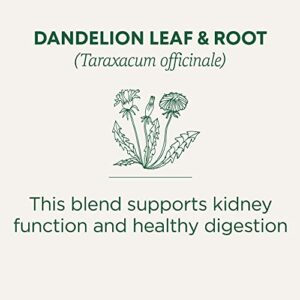 Traditional Medicinals Organic Dandelion Leaf & Root Herbal Tea (Pack of 1), Supports Kidney Function and Healthy Digestion, 16 Tea Bags Total