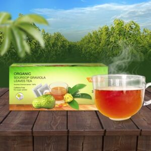 NalLife Organic Soursop Graviola Leaves Tea Pack of 30 Bags