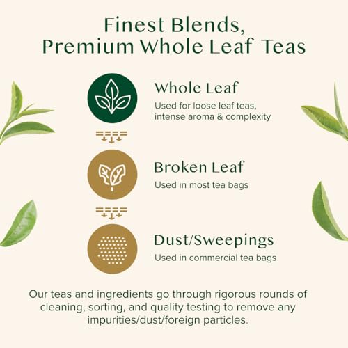 VAHDAM, Organic Green Tea Leaves From Himalayas (100 Green Tea Bags) USDA Organic, Non GMO, Gluten Free, High Grown | Whole Loose-Leaf Tea Bags | Resealable Ziplock Pouch