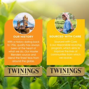 Twinings Pure White Tea Bags - Delicate Caffeinated Tea Made from Fresh White Tea Leaves, Perfect for Hot or Iced Tea, 20 Count (Pack of 2)