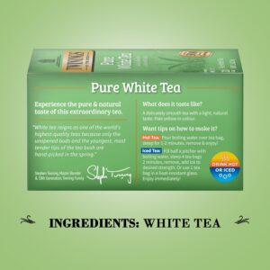 Twinings Pure White Tea Bags - Delicate Caffeinated Tea Made from Fresh White Tea Leaves, Perfect for Hot or Iced Tea, 20 Count (Pack of 2)