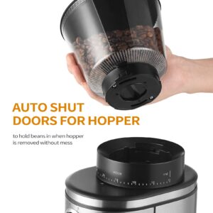 Ollygrin Coffee Bean Burr Grinder Electric, Burr Mill Conical Coffee Grinder With 30 Adjustable Grind Settings For 2-12 Cups, Sliver & Black