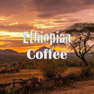 Ethiopian Coffee, Yirgacheffe Region, USDA Organic, Whole Bean, Kosher, Fresh Roasted, 16-ounce