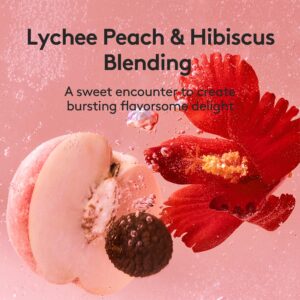 Osulloc Kombucha Tea LycheePeach (Lychee & Peach Blending), Sparkling Powdered Mix Beverage, No added sugar, 10 Sticks, 1.76oz