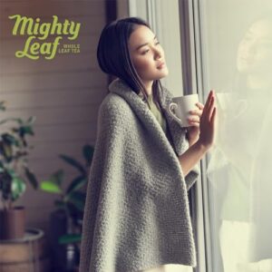 Mighty Leaf Green Tea Tropical 100ct.