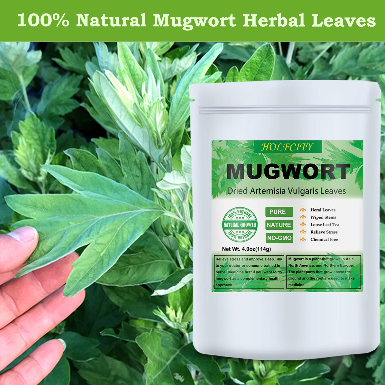 Dried Mugwort Leaves, 4oz(114g), Natural Artemisia Vulgaris Herb Loose Leaves