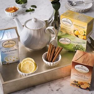 Twinings Tea Bags Variety Collection (Pack of 40) with By The Cup Honey Sticks