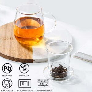 Glass Tea Infuser Cup with Strainer and Lid Gift Kit, Borosilicate Glass Teacup with Tea Filter for Blooming Tea and Loose Leaf Tea, Filter 99% of Tea Leaves, Lead-free, 17oz