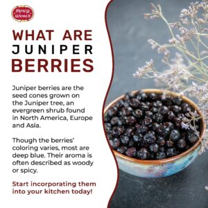 Spicy World Juniper Berries Whole 14 Ounce Bag- Pure - Great for Cooking, Drinks, Tea & More!