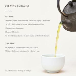 Senbird Organic Sobacha - Japanese Soba Buckwheat Tea - From Hokkaido, Japan - Loose Leaf Tea in Airtight Tea Tin (3.5oz/100g)