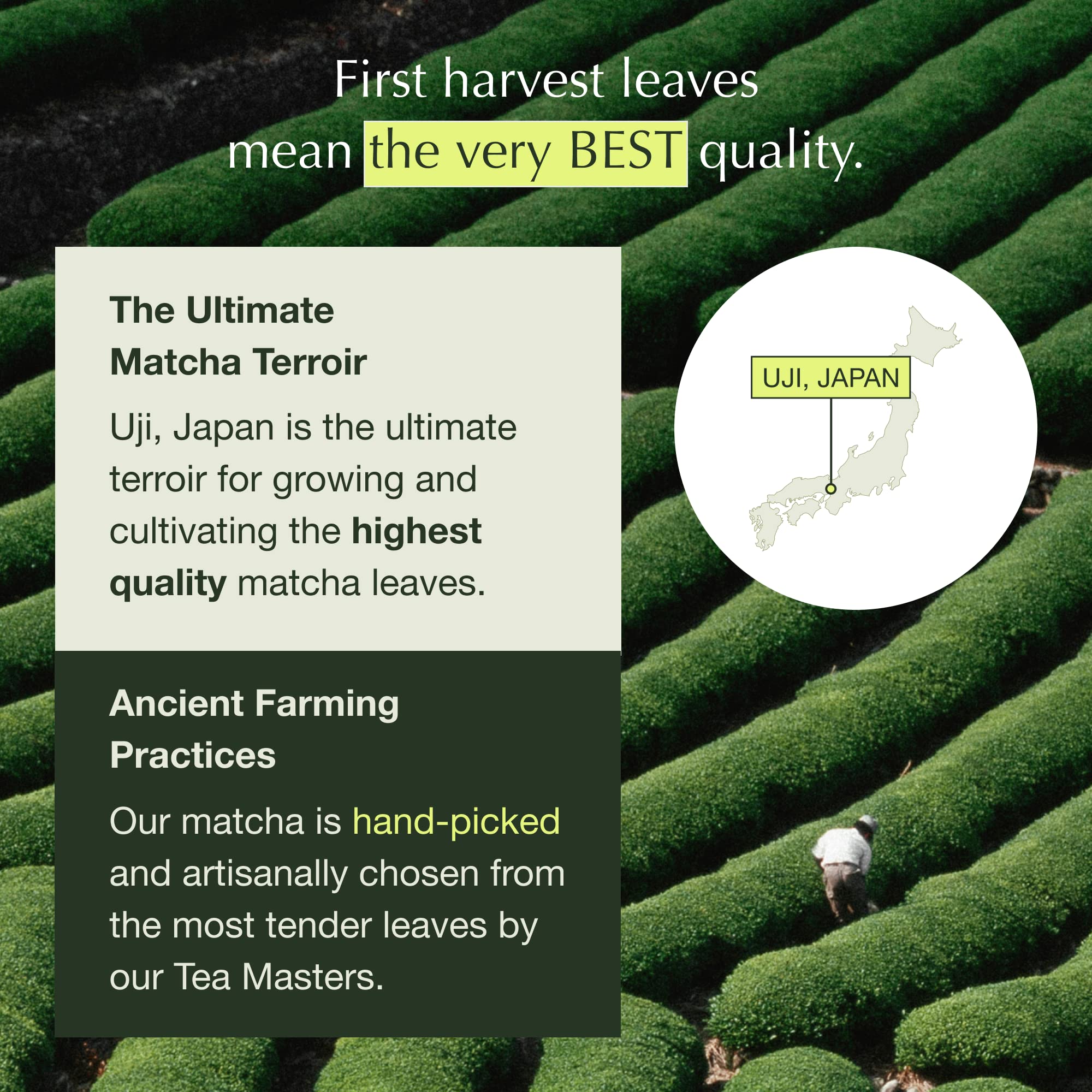 Encha Latte Grade Matcha Powder - First Harvest Organic Unsweetened Matcha Green Tea Powder, From Uji, Japan (30G/1.06 Ounce) Premium Powder for matcha latte, matcha smoothie | Caffeine, L-Theanine