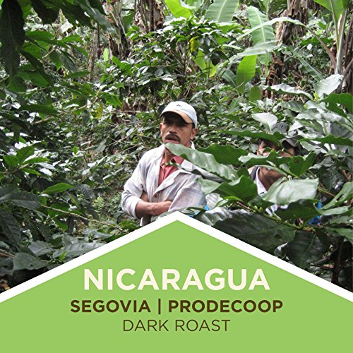 Tiny Footprint Coffee - Fair Trade Organic Nicaragua Segovia Dark Roast | Whole Bean Coffee | USDA Organic | Fair Trade Certified | Carbon Negative | 3 Pound