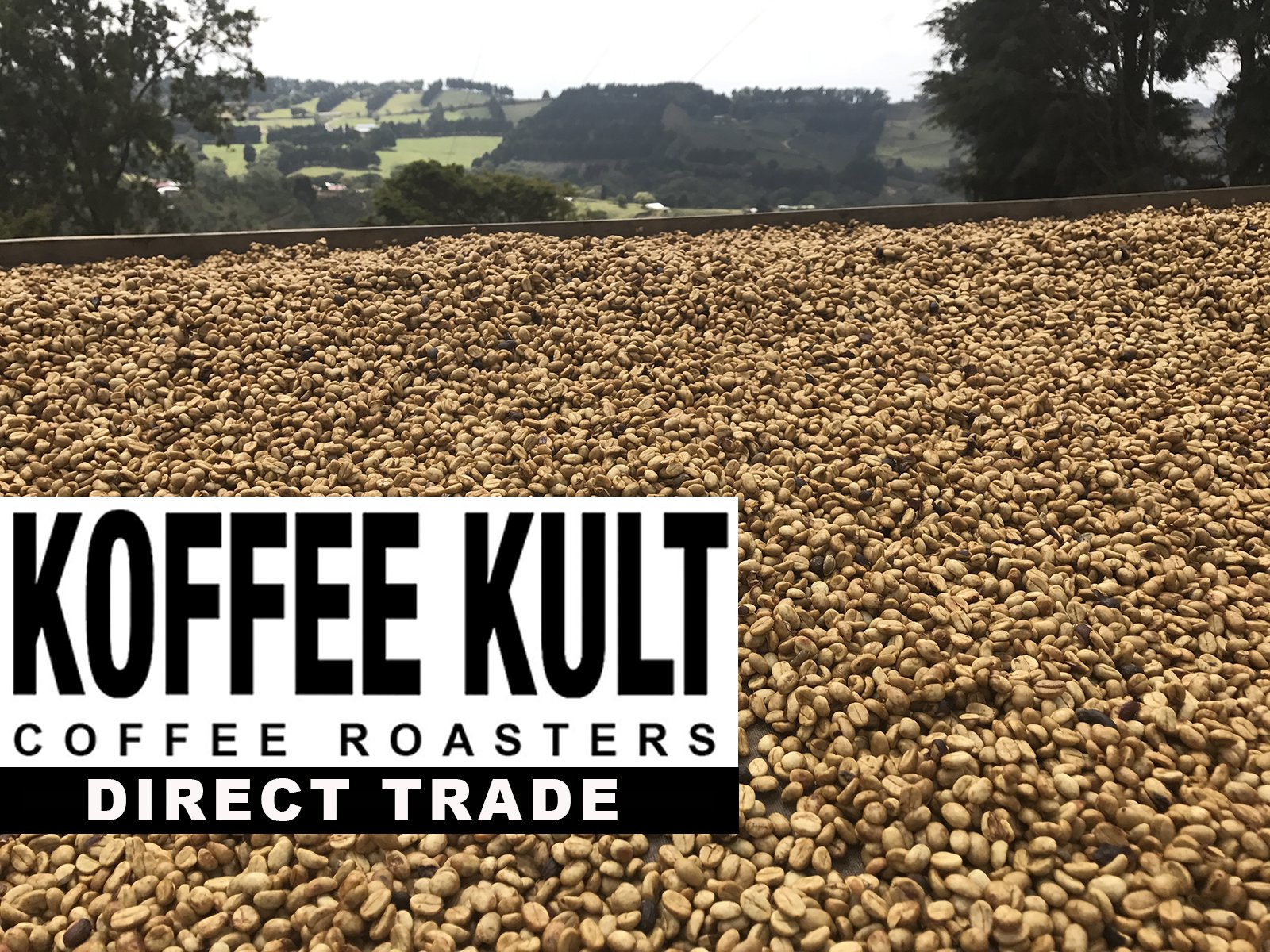 Koffee Kult Thunder Bolt Dark Roast Coffee Beans, Whole Bean, Fresh Roasted, 100% Arabica Robust Blend of Colombian And Brazil Whole Beans Bulk 32oz