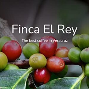 Finca El Rey, Organic Coffee Beans Whole, Veracruz Mexico Single Origin, Coffee Whole Beans, Whole Bean Coffee Medium Roast Coffee, Coffee Organic, Expresso Beans, Certified USDA Organic, 1LB Bag