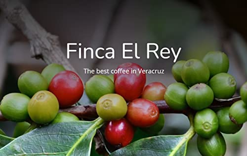 Finca El Rey, Organic Coffee Beans Whole, Veracruz Mexico Single Origin, Coffee Whole Beans, Whole Bean Coffee Medium Roast Coffee, Coffee Organic, Expresso Beans, Certified USDA Organic, 1LB Bag