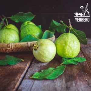 Yerbero - Hoja De Guayaba Entera (.75 oz - 22gr) Whole Dried Guava Leaf | 100% All Natural Delicious| 20+ Servings | From Mexico.