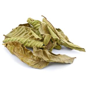 Yerbero - Hoja De Guayaba Entera (.75 oz - 22gr) Whole Dried Guava Leaf | 100% All Natural Delicious| 20+ Servings | From Mexico.