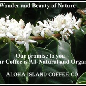 Aloha Island Coffee, GOLD King Reserve Kona Hawaiian Coffee Blend, Medium Roast, 8 Oz Ground, 8-ounces