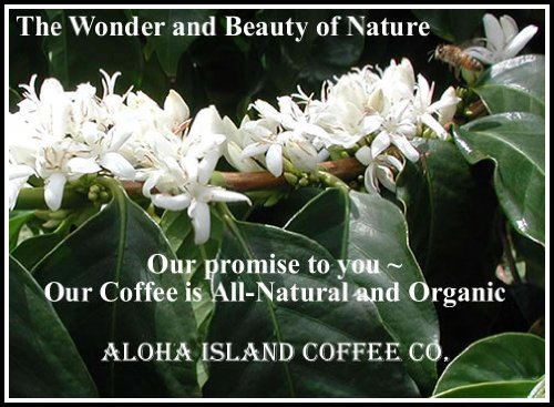 Aloha Island Coffee, GOLD King Reserve Kona Hawaiian Coffee Blend, Medium Roast, 8 Oz Ground, 8-ounces