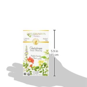 CELEBRATION HERBALS Organic Oatstraw Green Flowering Tea, 24 CT