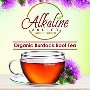 Burdock Root Tea Organic - 100% Alkaline - 15 Unbleached/Chemical-Free Burdock Root Tea Bags - Caffeine-Free, No GMO