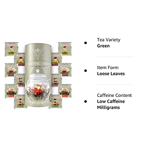 Teabloom Jasmine Flowering Tea – Hand Tied Green Tea Leaves + Jasmine Blossoms Flowering Tea Creations – Blooming Tea Gift Set – 12-Pack, 36 Steeps, Makes 250 Cups