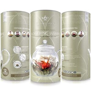 Teabloom Jasmine Flowering Tea – Hand Tied Green Tea Leaves + Jasmine Blossoms Flowering Tea Creations – Blooming Tea Gift Set – 12-Pack, 36 Steeps, Makes 250 Cups