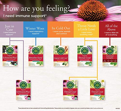 Traditional Medicinals Tea, Organic Echinacea Plus, Promotes Immune Function, w/ Spearmint, 96 Tea Bags (6 Pack)