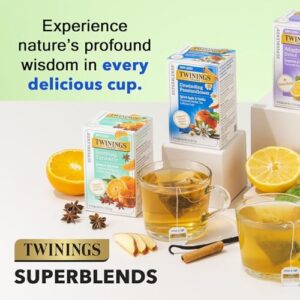 Twinings of London Daily Wellness Tea Unwind Sleep Supporting Passionflower & Camomile, Spiced Apple & Vanilla, Flavored Herbal Tea 18 Count