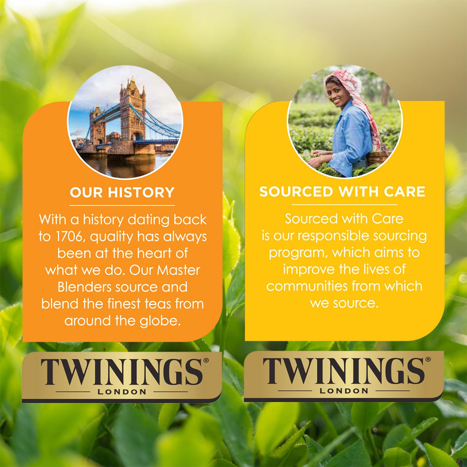 Twinings Lady Grey Tea - A Fresh, Uplifting Black Tea with Orange Peel, Lemon Peel, and Natural Citrus Flavours, Caffeinated Tea Bags, Individually Wrapped, 20 Count (Pack of 3)