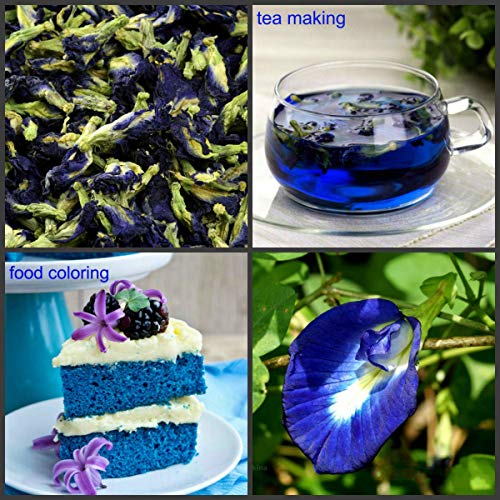 500 Grams (17.6 Oz) Blue Butterfly Pea Flowers, All Natural Dried Butterfly Pea Flower Herbs Herbal Healthy Tea Drink Recipes Natural Food Coloring