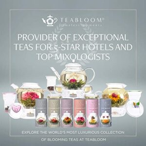 Teabloom Holiday Flowering Teas - 12 Assorted, Delicious Berry Blooming Teas - Premium Green Tea + Cranberry, Blueberry, Acai Berry & Strawberry