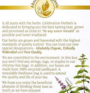 Celebration Herbals Organic Chaste Tree Berries Tea, 24 Bags