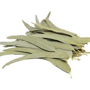 Whole Eucalyptus Leaves, Natural Eucalyptus Herb Leaves, 114g (4.0 oz)